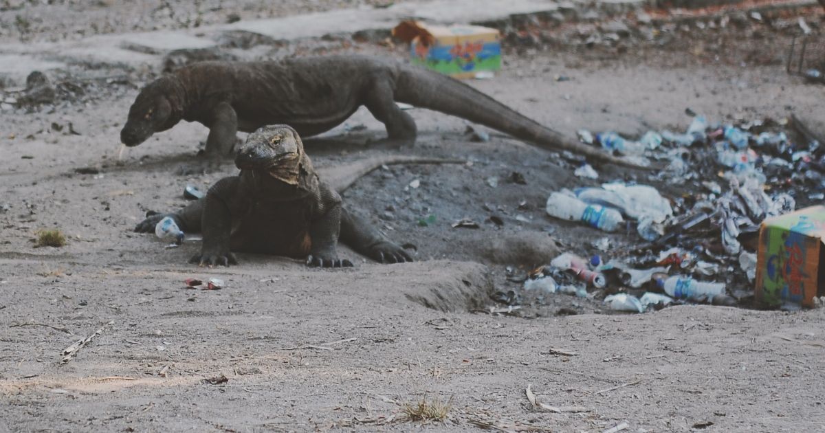 Muzyka Końca Świata: #16 melancholia się nami nie nażre | Radio Kapitał